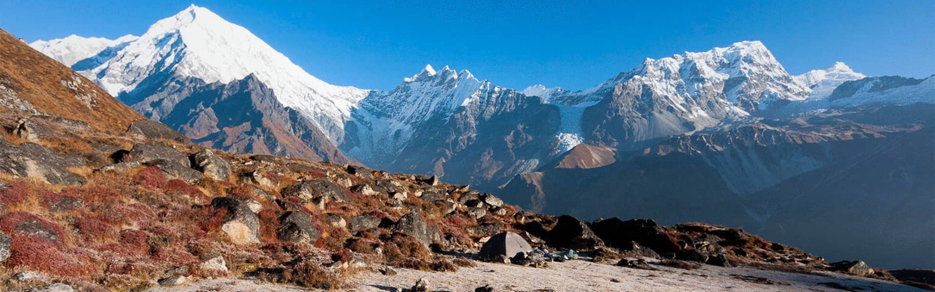 Benefits Of Shilajit - Blue Toad Botanicals